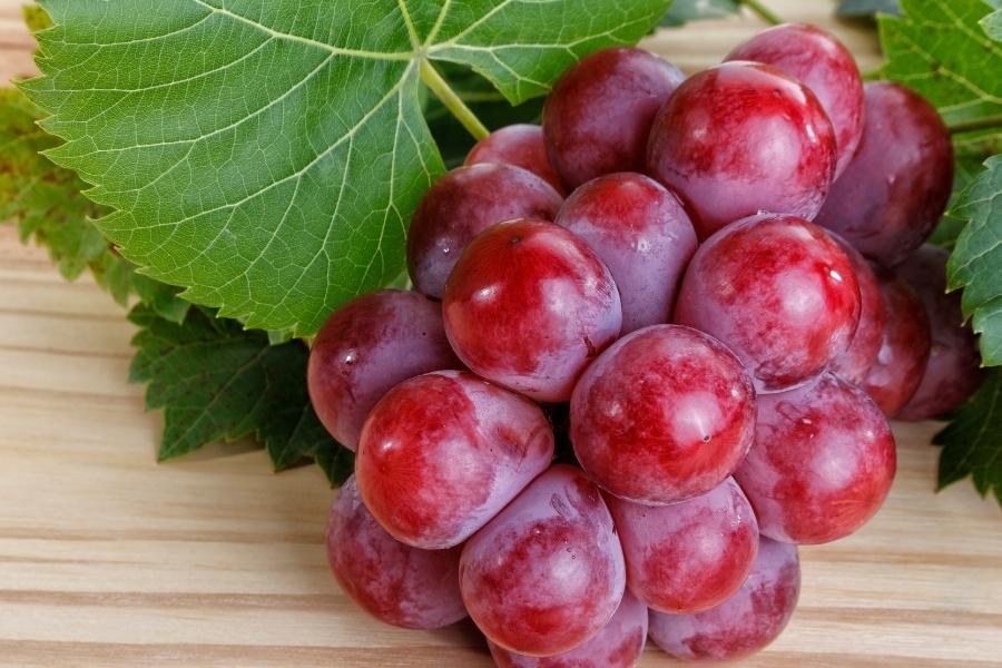 Vine Sap: face and body range | Bottega Verde