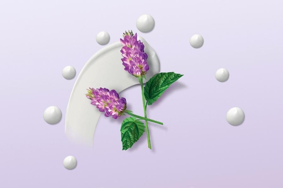 Bakuchiol: anti-wrinkle facial line | Bottega Verde