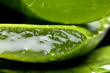 Aloe - Creme Viso e Corpo | Bottega Verde